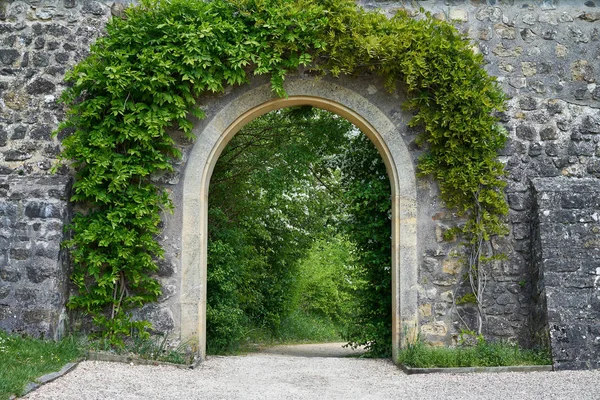 Vine arch Stock Photos, Royalty Free Vine arch Images | Depositphotos