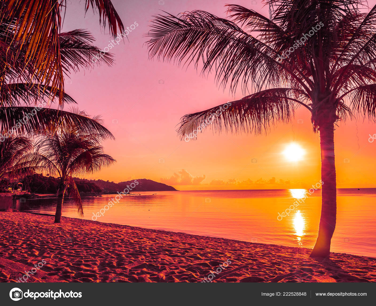 Beautiful Beach Sunset With Palm Trees