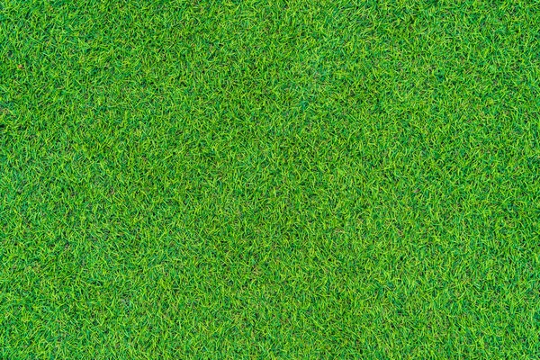 Abstract green grass texture and surface - Stock Image - Everypixel