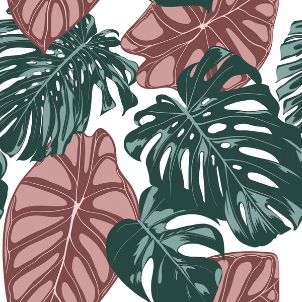 Tropical summer leaves wallpaper Images - Search Images on Everypixel