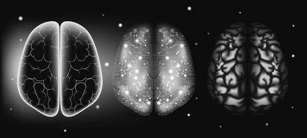 100,000 Brain simulation Vector Images | Depositphotos