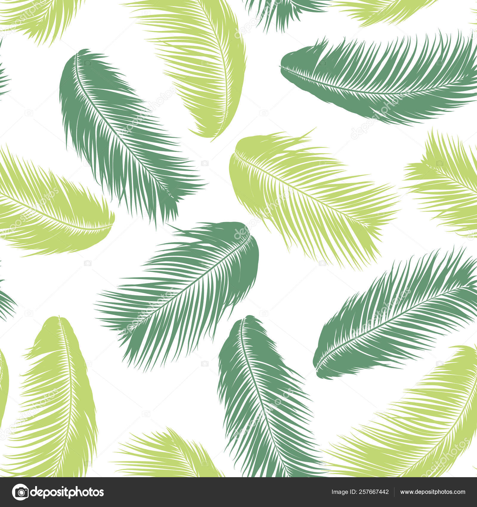 Coconut Tree Leaves Vector