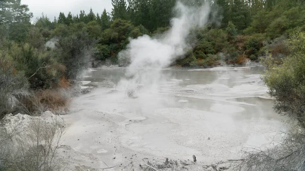 Rotorua geothermal Stock Photos, Royalty Free Rotorua geothermal Images ...