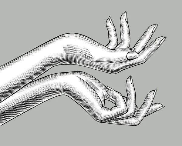 Hand Reaching Up Drawing