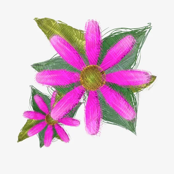 Suflowers Stock Photos, Royalty Free Suflowers Images | Depositphotos