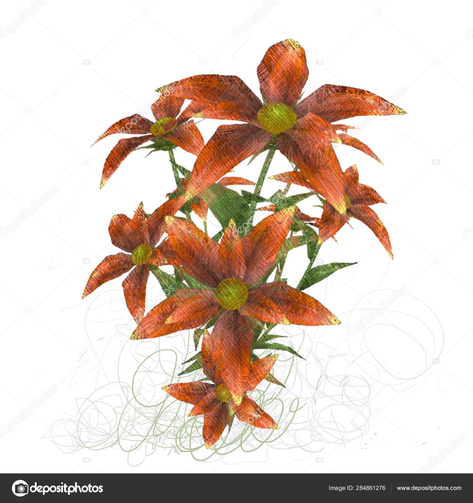 Red Palm Tree Isolated White Background — Stock Photo © nordenworks ...