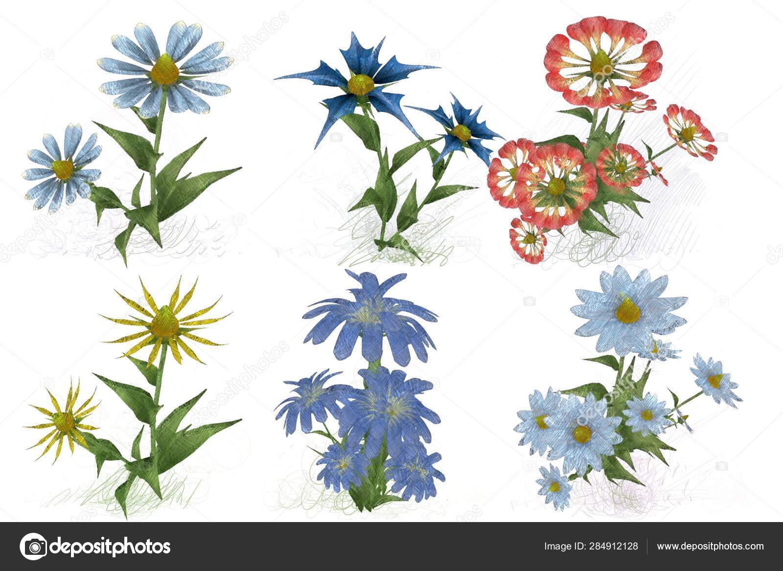 Beautiful Watercolor Flowers White Background Stock Illustration by ...