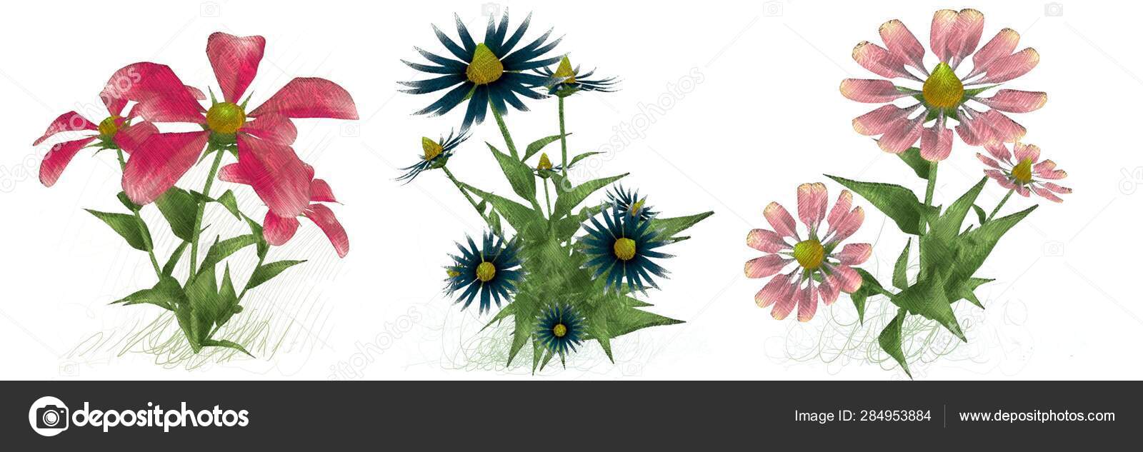 Set Watercolor Flowers White Background — Stock Photo © nordenworks ...