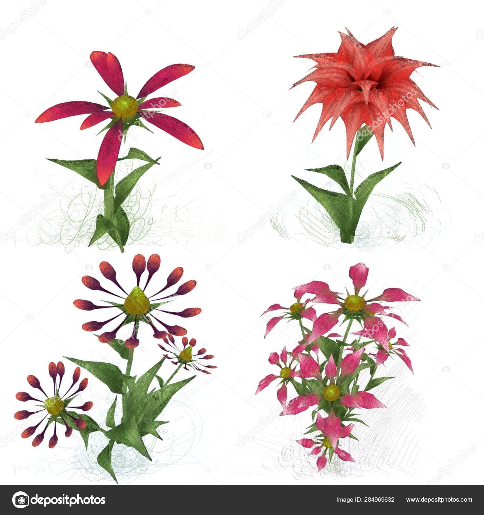 Set Watercolor Flowers White Background — Stock Photo © nordenworks ...