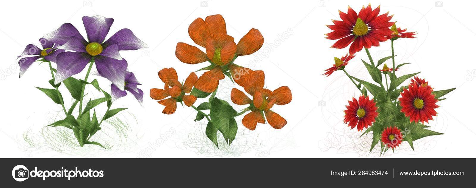 Watercolor Flowers Isolated White Background — Stock Photo ...