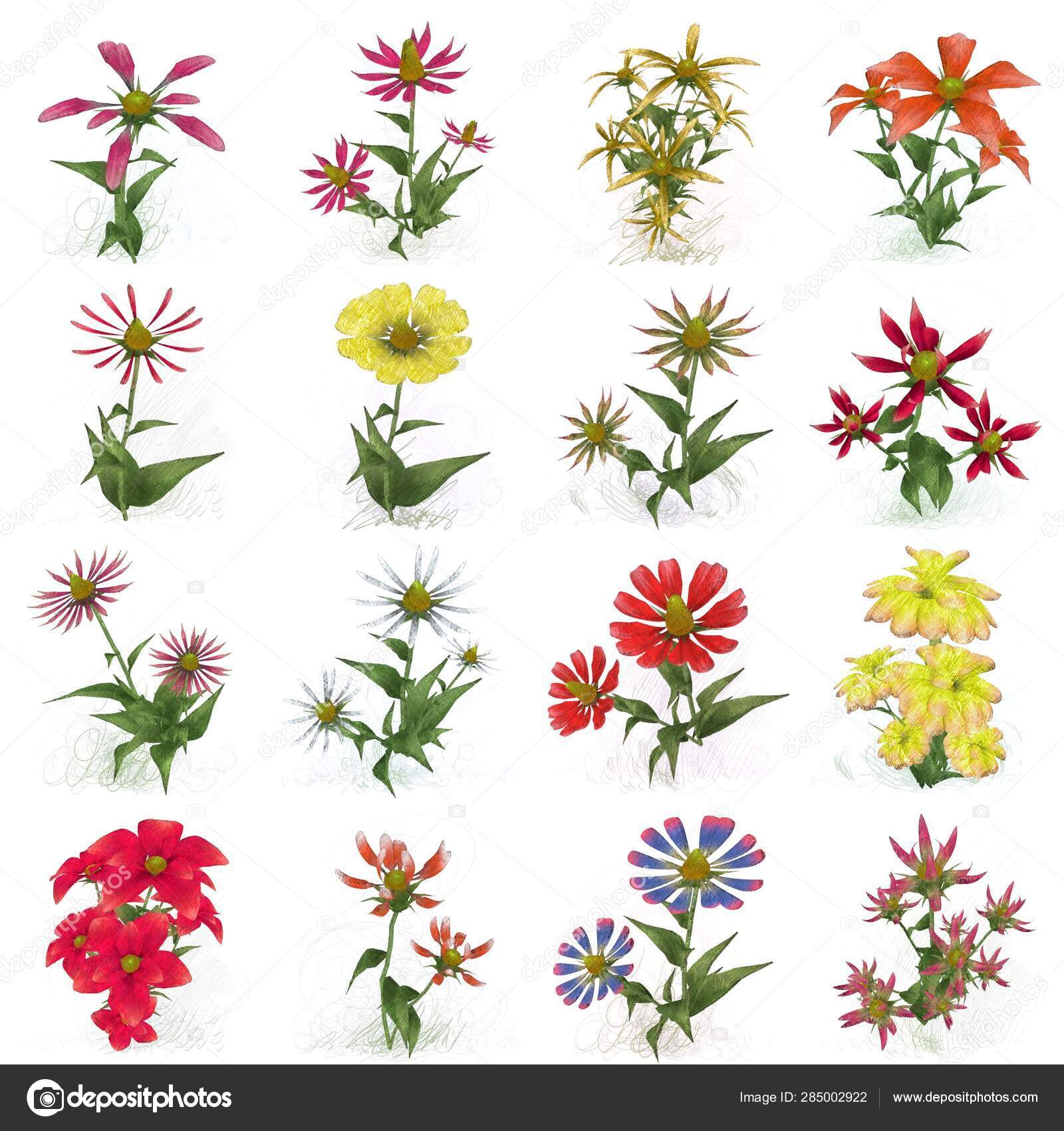 Set Watercolor Flowers White Background Stock Photo by ©nordenworks ...