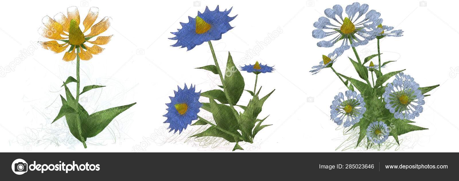 Set Watercolor Flowers White Background Stock Photo by ©nordenworks ...