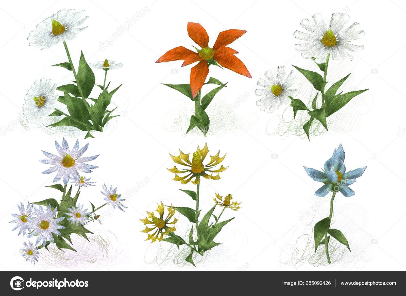Beautiful Watercolor Flowers White Background Stock Illustration by ...