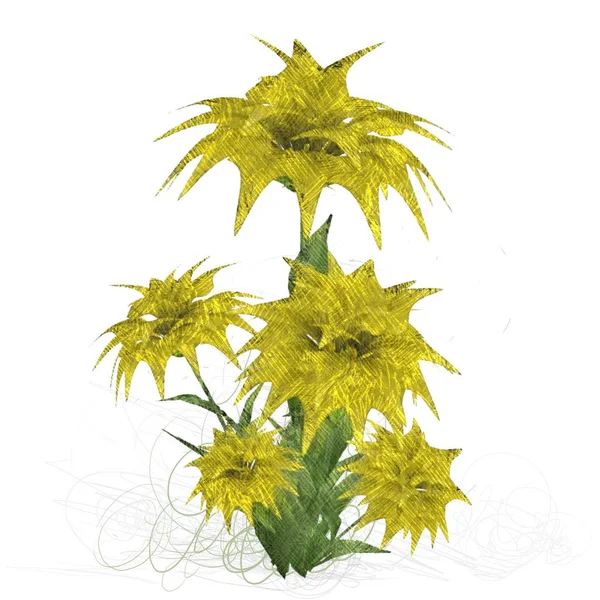 Imagens de Best trap flowers sem royalties | Depositphotos