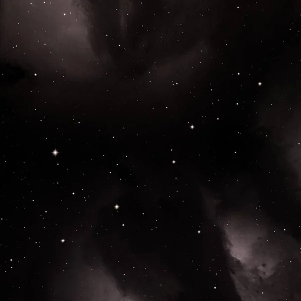 Stargazer black background Stock Photos, Royalty Free Stargazer black ...