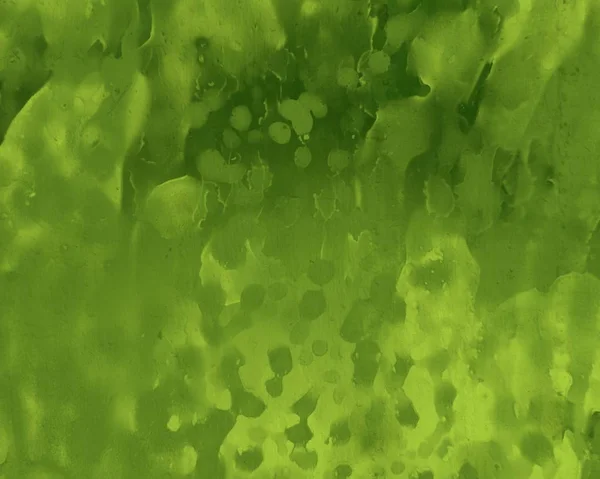 Microalgae Stock Photos, Royalty Free Microalgae Images | Depositphotos