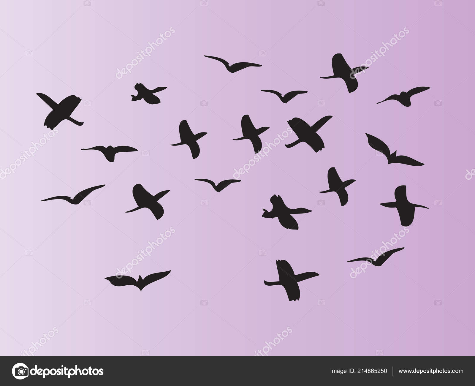 Soaring in the Sky Stock Vector Image by ©wolyalya.gmail.com #214865250