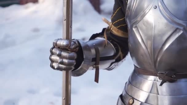 812 Handsome medieval Videos, Royalty-free Stock Handsome medieval ...