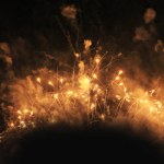 Firework Exploding Night Sky Background Stock Photo by ©YAYImages 260470592