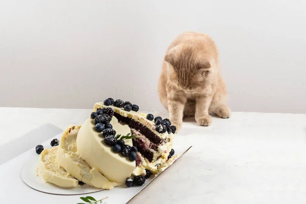 Destroyed Birthday Cake