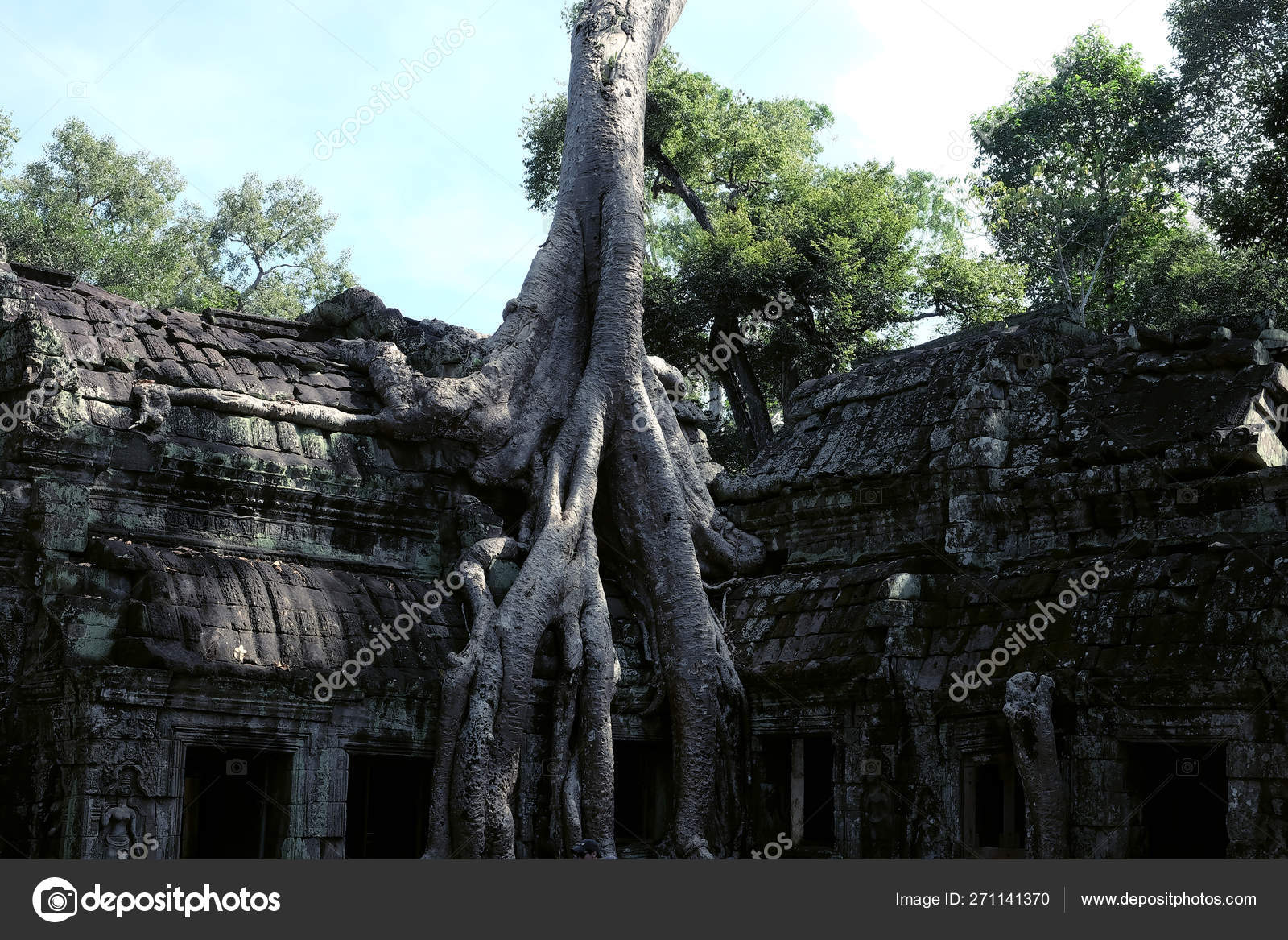 Ancient Building Braided Roots Huge Tree Dilapidated Building Khmer ...