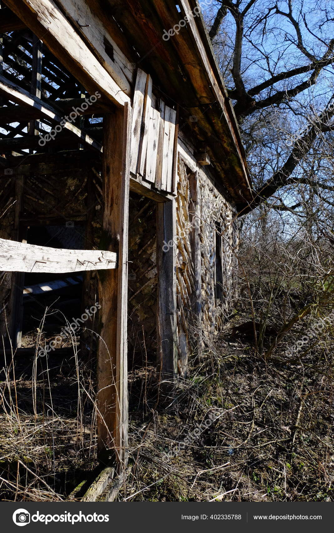 Ruins Abandoned Village House Thickets Old Dilapidated House — Stock Photo © 02konon #402335788