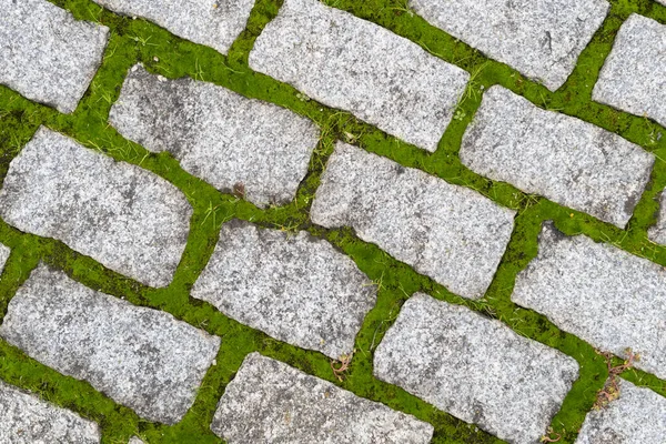 Green pavement Stock Photos, Royalty Free Green pavement Images ...