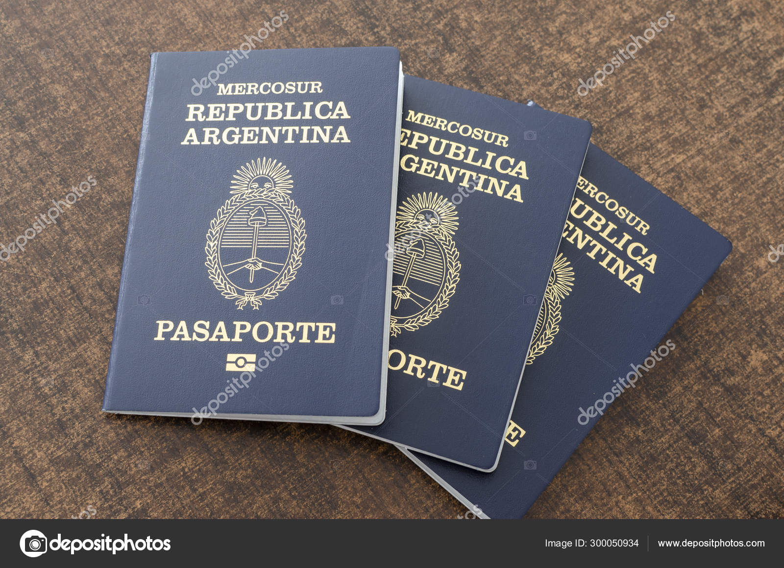 Argentinian Passport