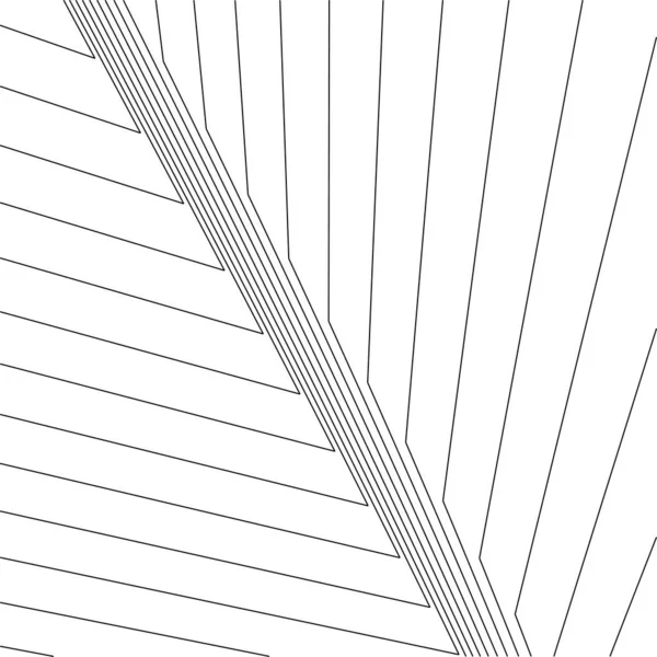11,790,005 Geometry line drawing Vector Images | Depositphotos