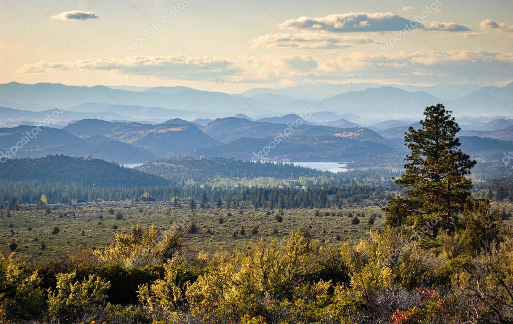 Bosque Nacional Shasta-Trinity 2024
