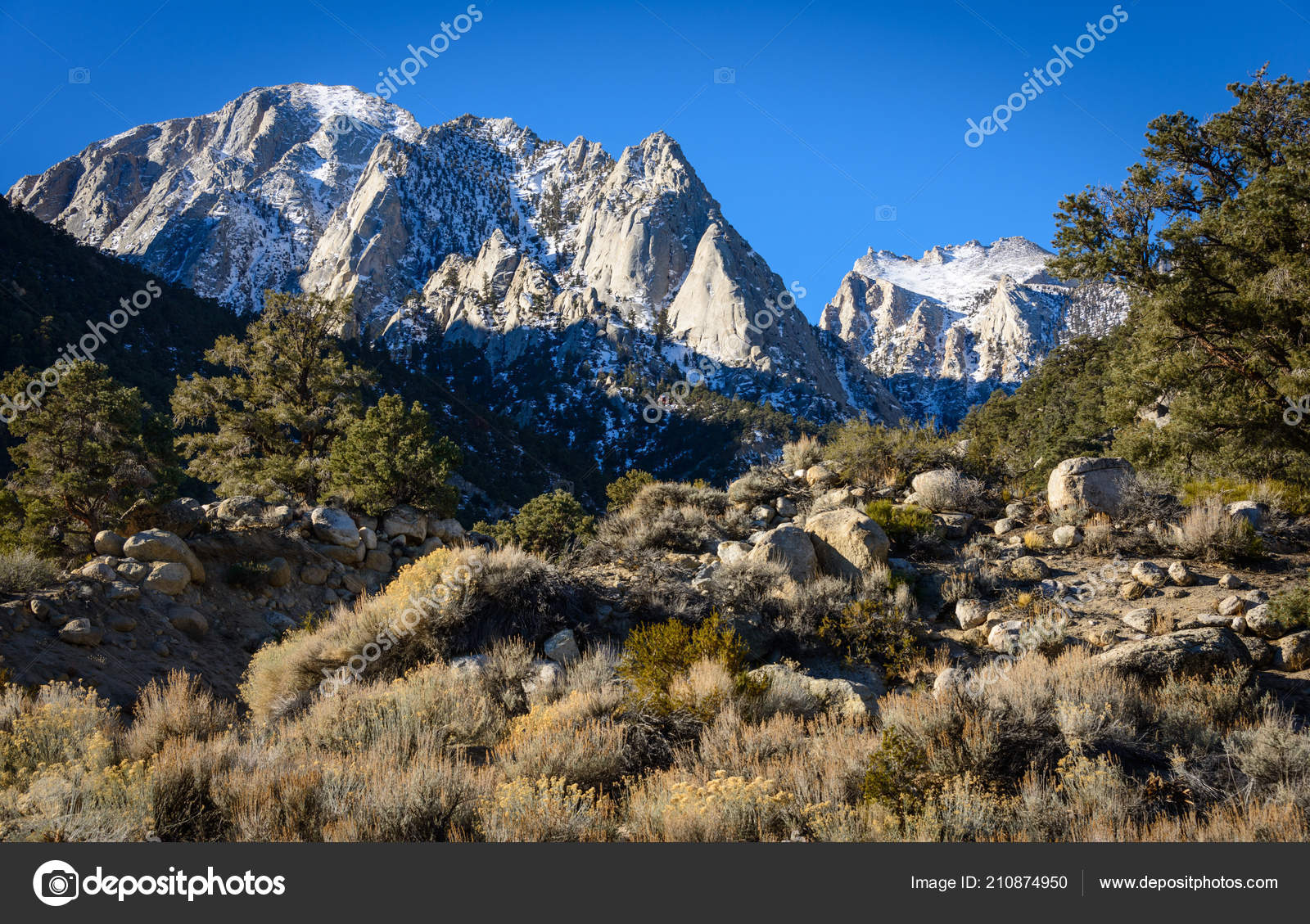 Sequoia National Park Inyo National Forest — Stock Photo © zrfphoto ...