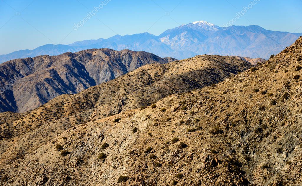 Parque Nacional Joseph Tree 2025