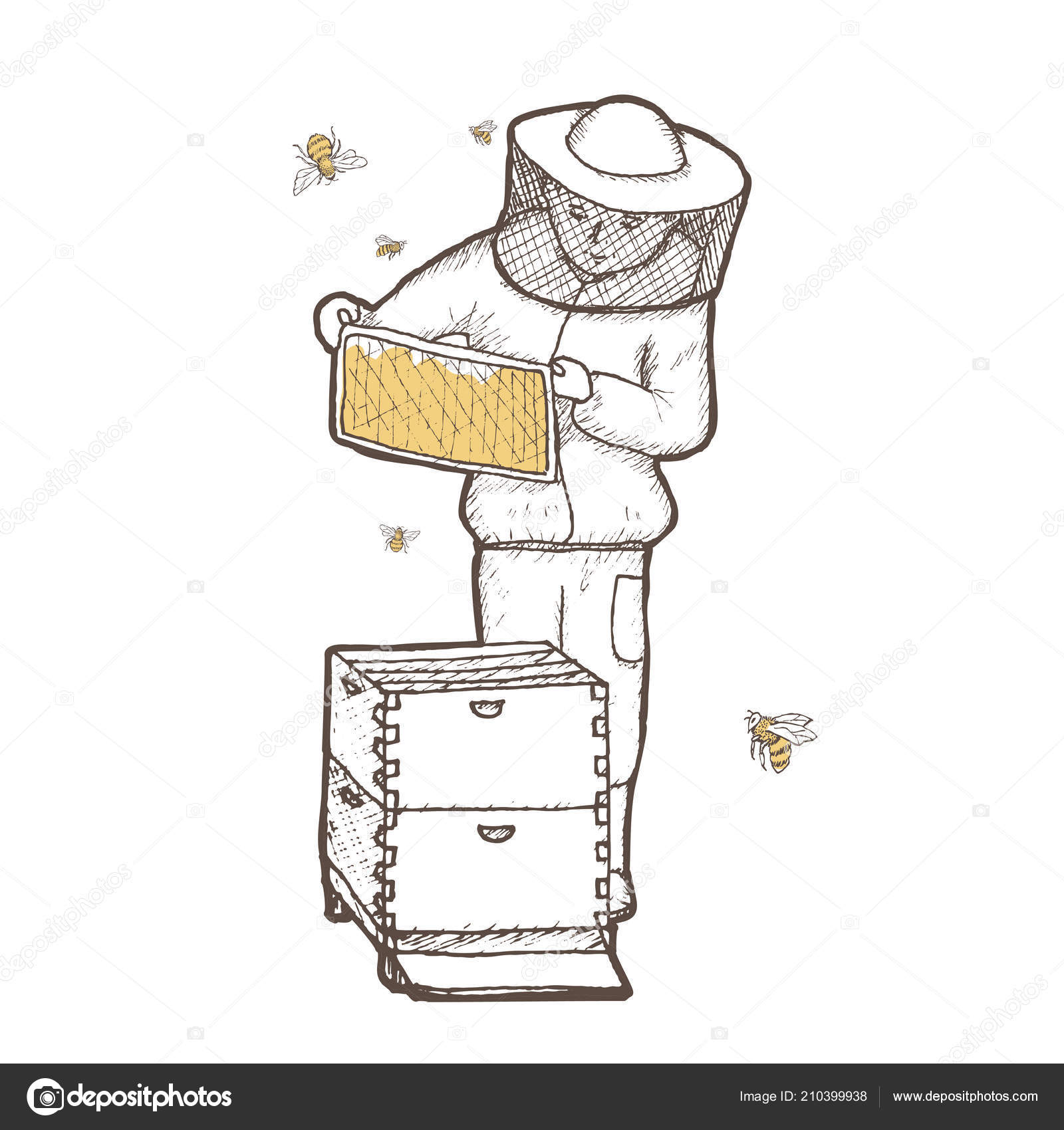 Beekeeper Holding Bee Frame White Background Stock Vector Image by ...