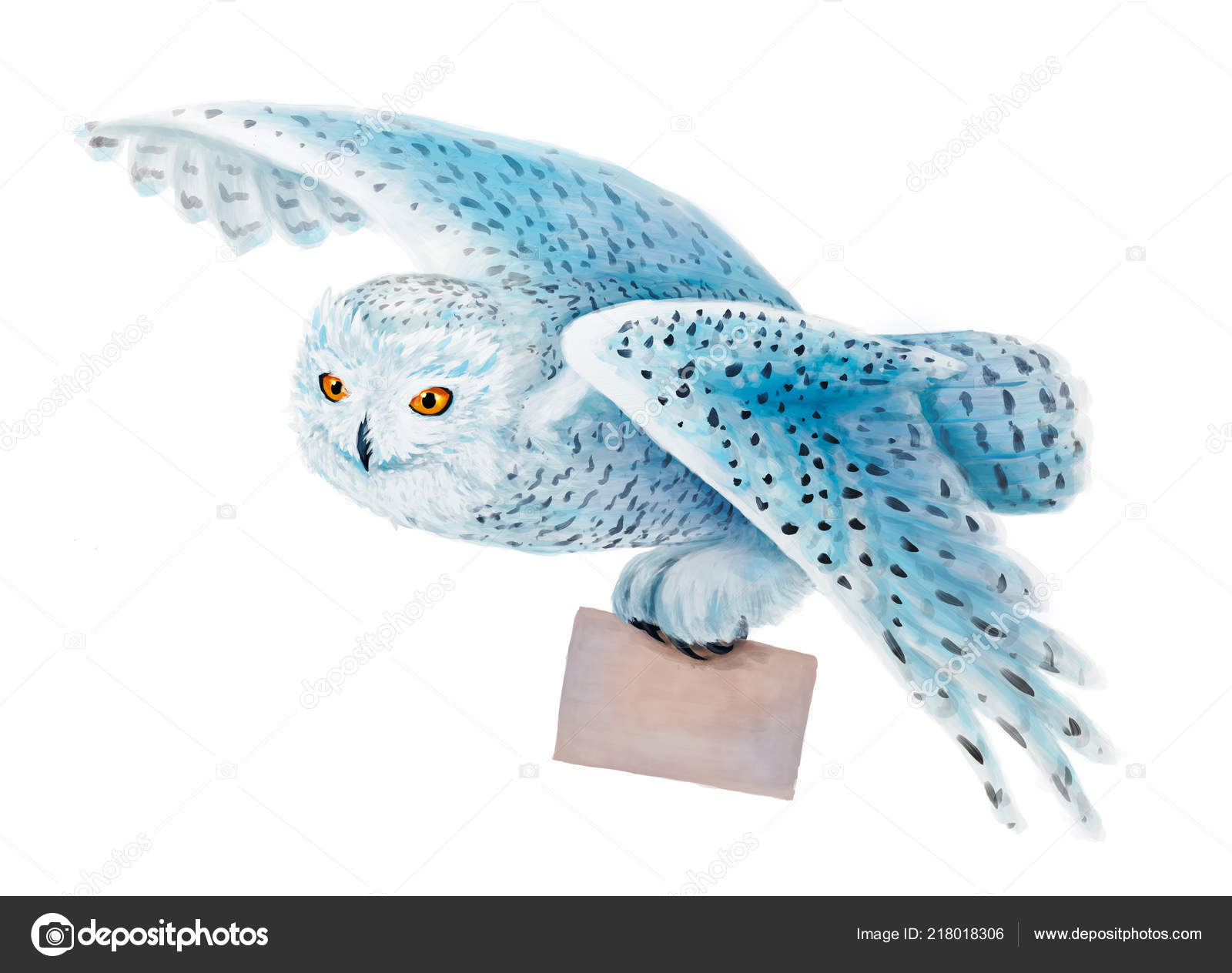 Isolated Snowy Owl Carrying Post White Background — Stock Photo ...