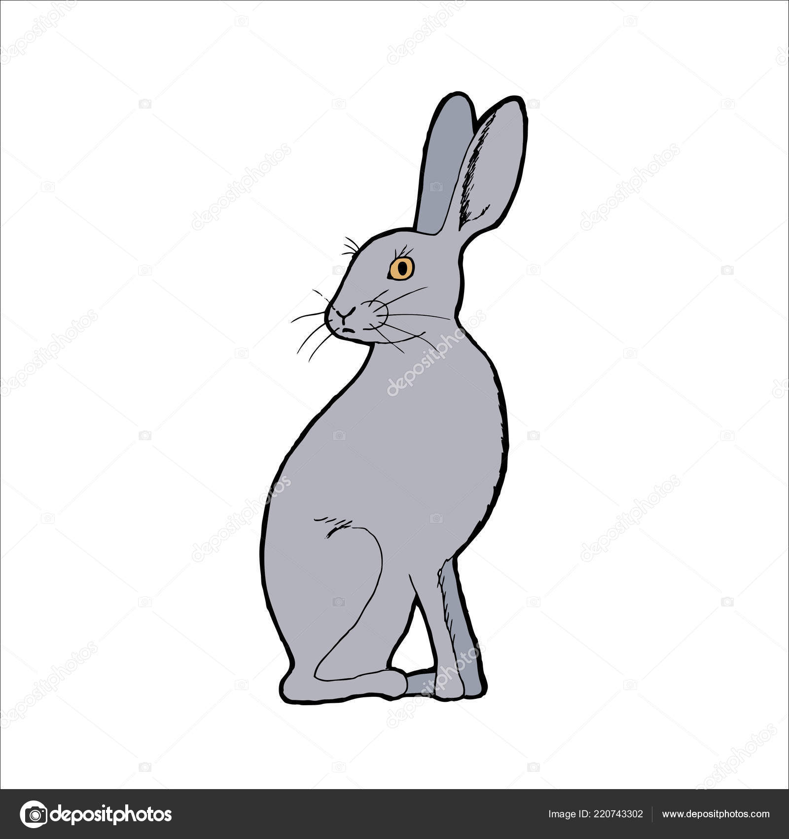 Vector Illustration Hare Outline Drawing White Background Stock Vector ...