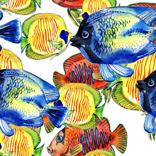 Sea fish. Marine aquarium fish seamless pattern. Tropical fish - Stock ...