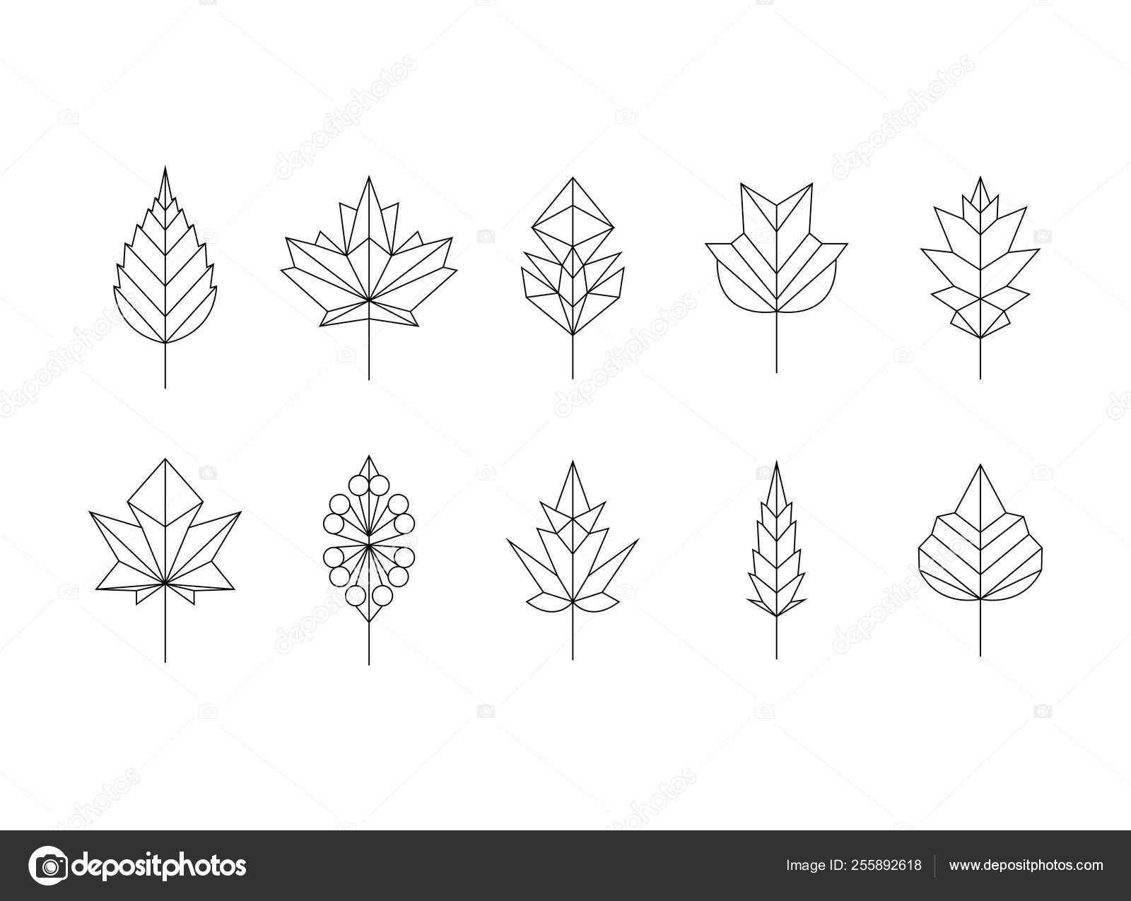 Tree Leaf Geometric Style Graphical Tree Set White Background — Stock ...