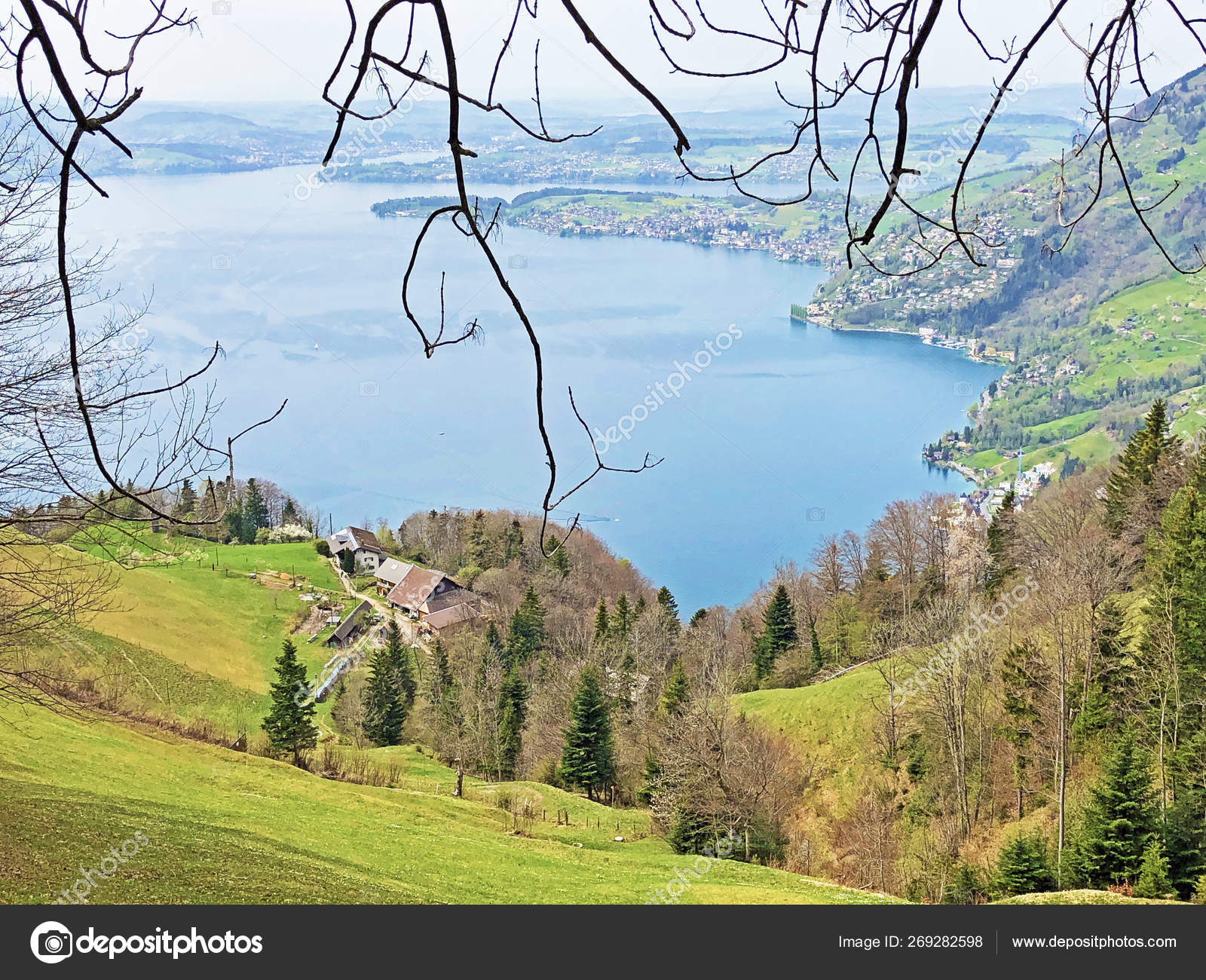 View Lake Lucerne Vierwaldstaetersee Swiss Alps Background ...