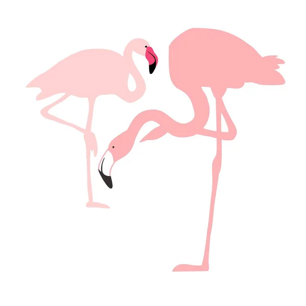 Pink flamingos silhouettes — Stock Vector © Dr.PAS #84193258