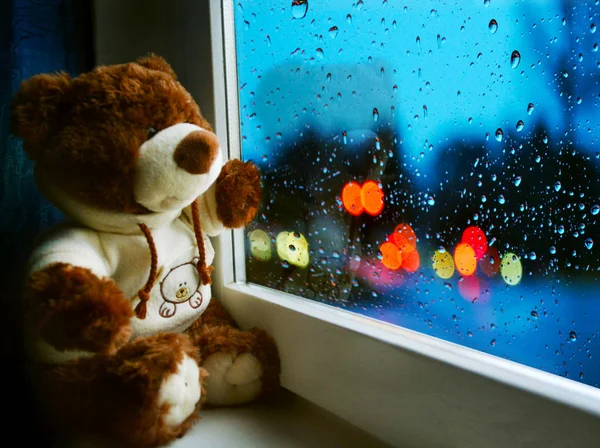 teddy bear sits on a windowsill in the rain - Stock Image - Everypixel