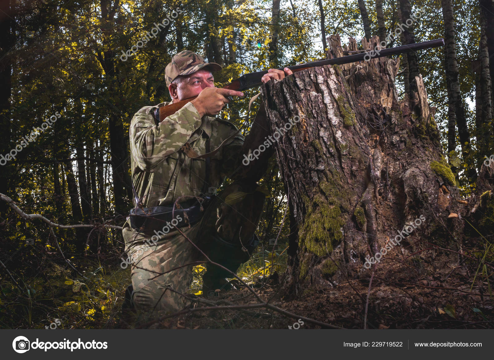 Hunter Aiming Stump Forest Wild Beast Hunting ⬇ Stock Photo, Image by ...