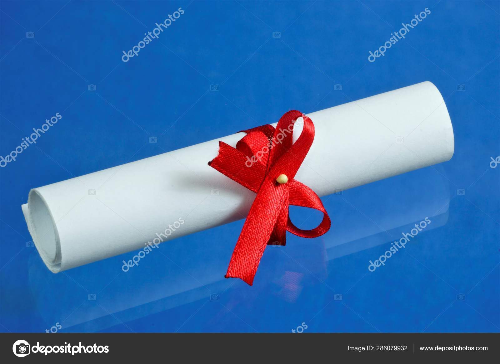 Rolled Diploma Blue Ribbon