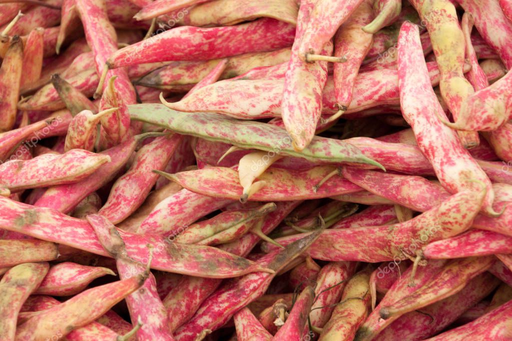 Judías rojas rosadas frescas (judías romanas) como fondo 2023