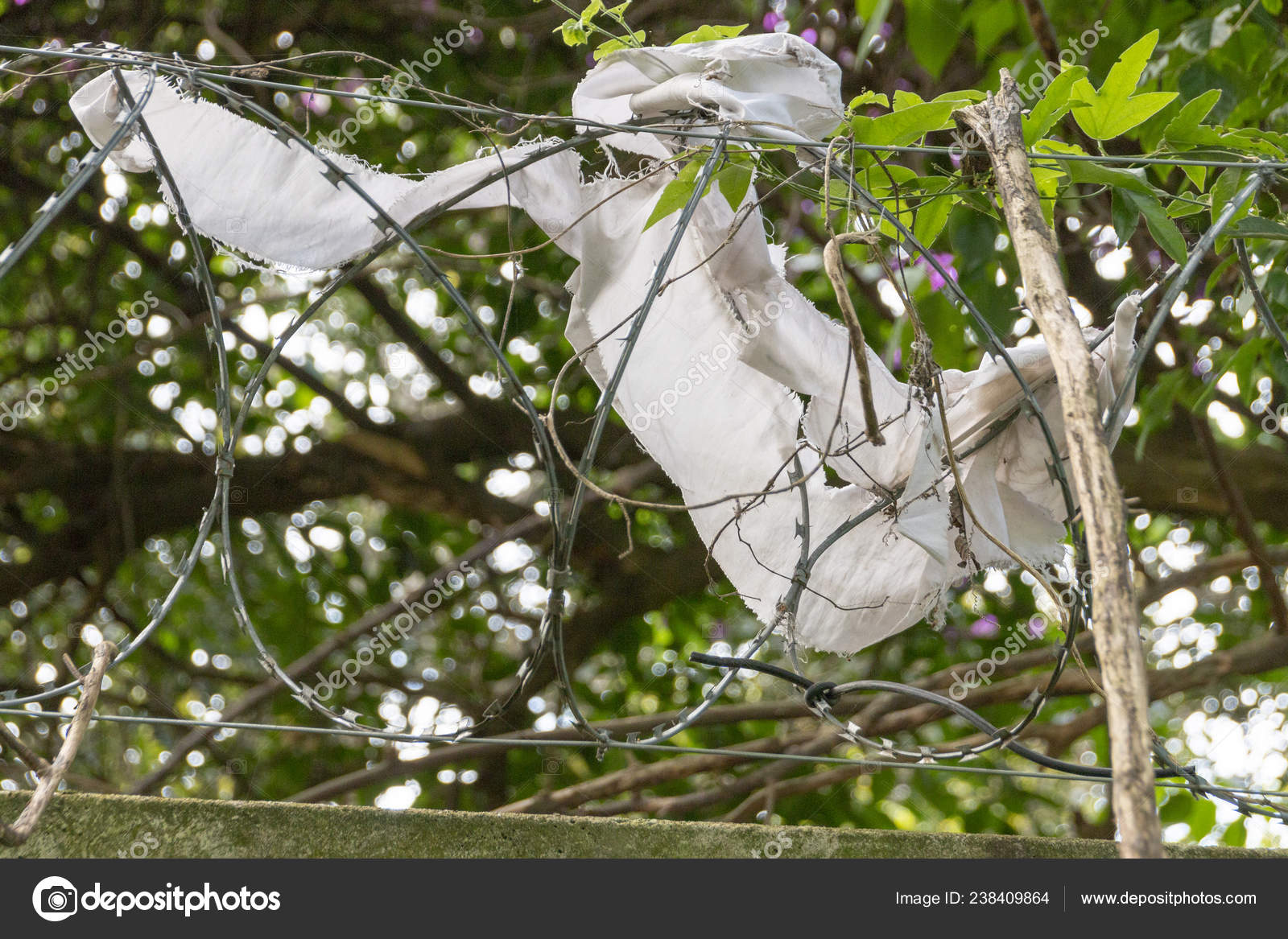 Close View White Piece Fabric Has Got Caught Barbed Wire — Stock Photo ...