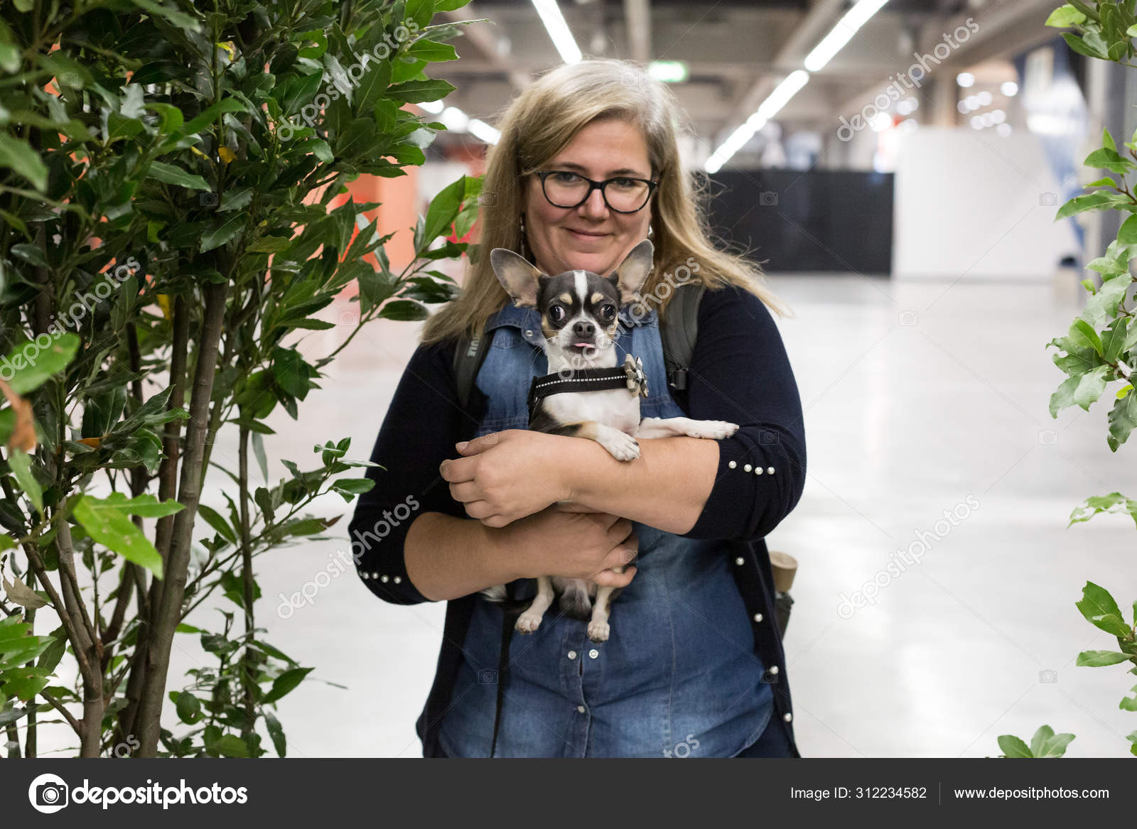 Beautiful dog at Pets in the City in Milan, Italy – Stock Editorial ...