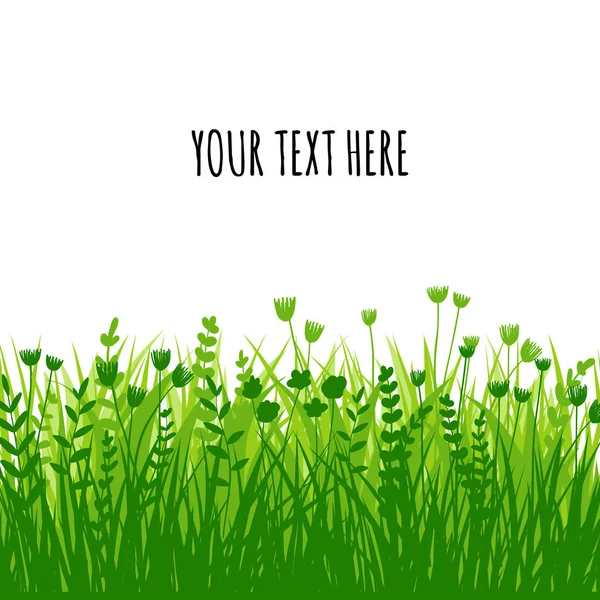 Summer Green Grass Background Text Vector Eco Nature Design Banner ...