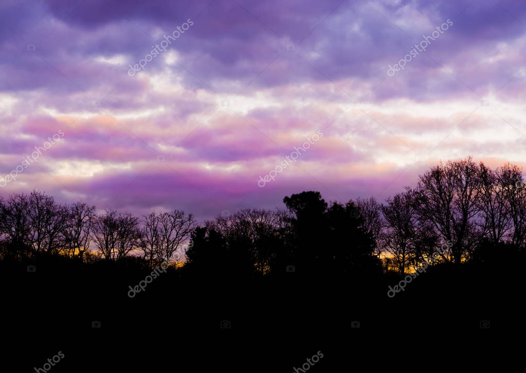 paisaje forestal con nubes nacrucas de color rosa y púrpura, un ...