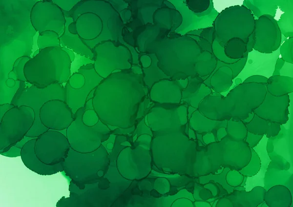 Microalgae Stock Photos, Royalty Free Microalgae Images | Depositphotos