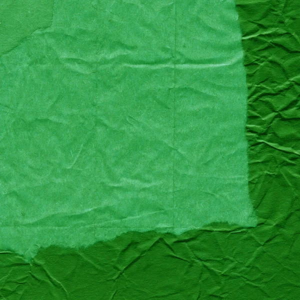 Folha de papel verde Stock Photos, Royalty Free Folha de papel verde ...