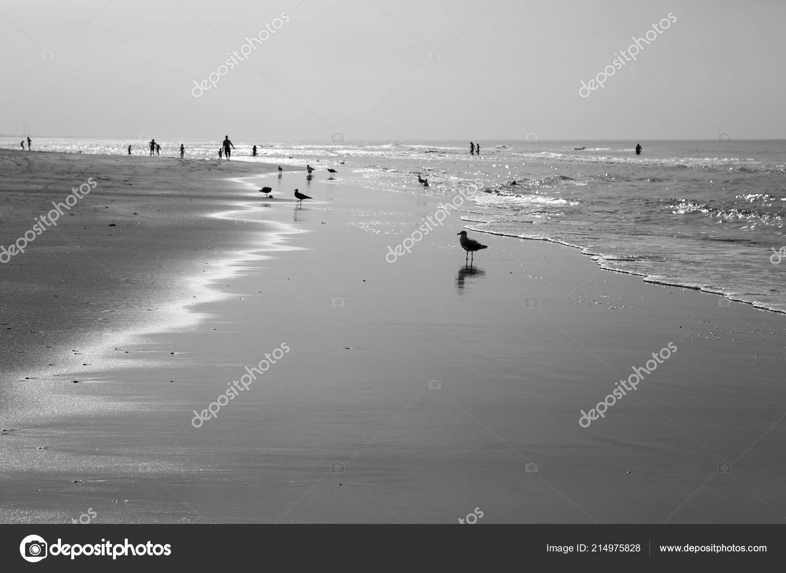 People Wandering Shore Sandy Beach Sunset — Stock Photo ...